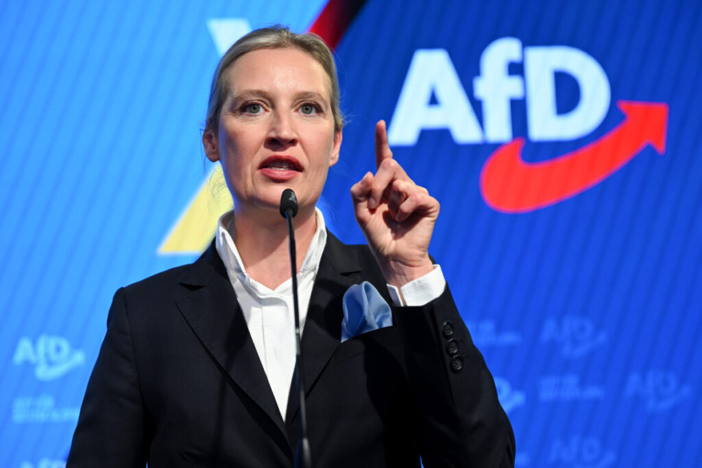 La fuerte subida en las encuestas de los patriotas de AfD marca unas ...
