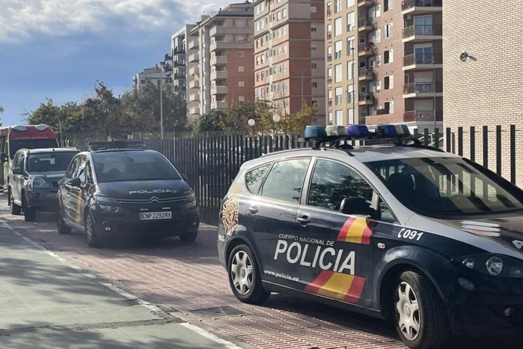 Detenido un inmigrante marroquí con antecedentes en Castellón